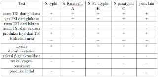 Metode Analisa Pemeriksaan Salmonella