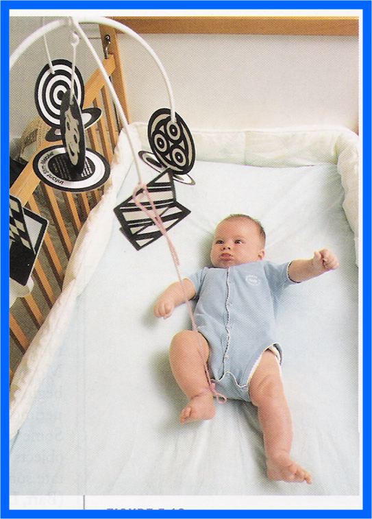 How To Teach My 6 Month Old Sign Language How To Teach A Child To Read How To Teach My 6 Month Old Sign Language How To Teach A Child To Read