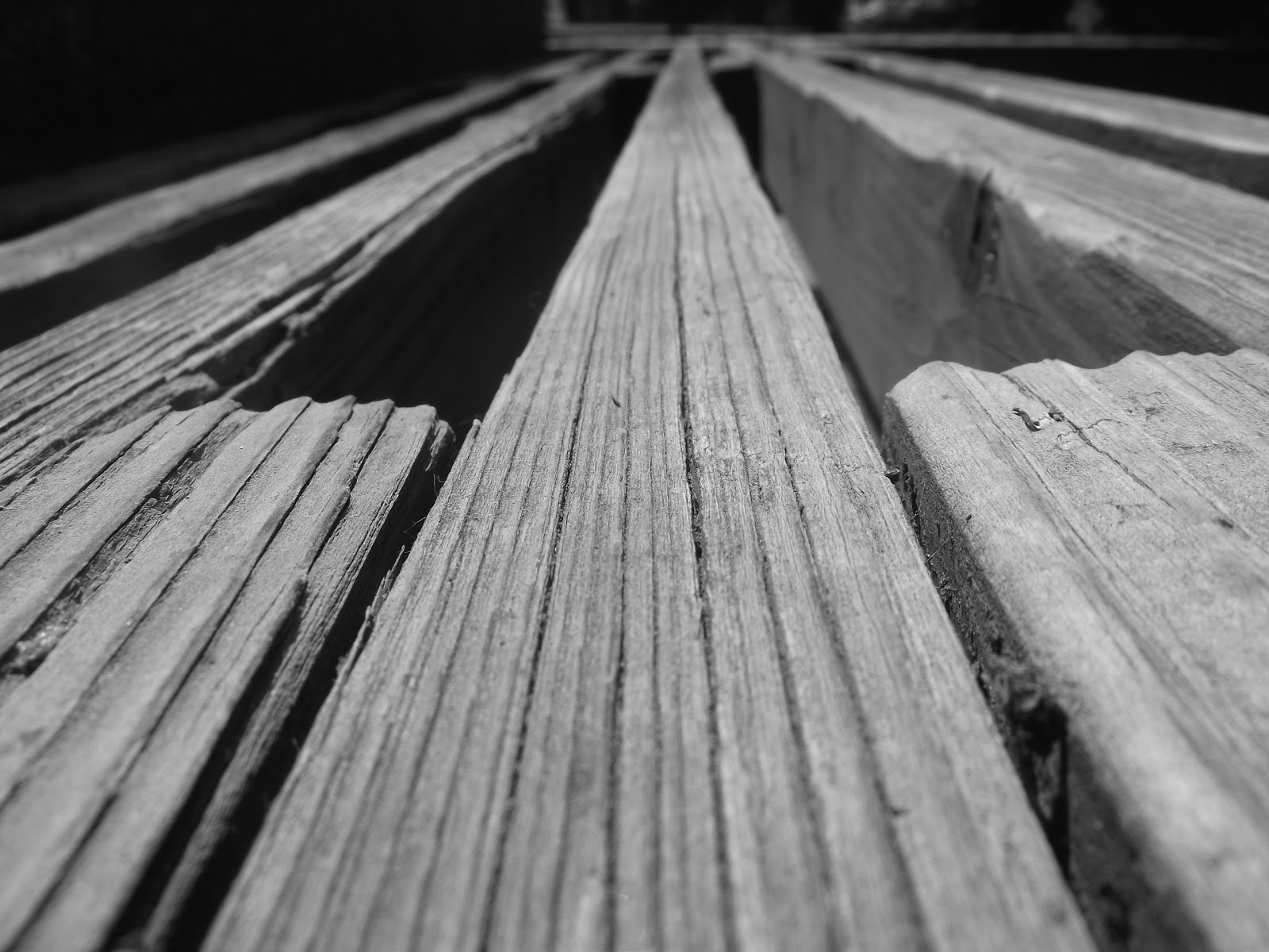 Elizabeth.Lucia.Garside(: