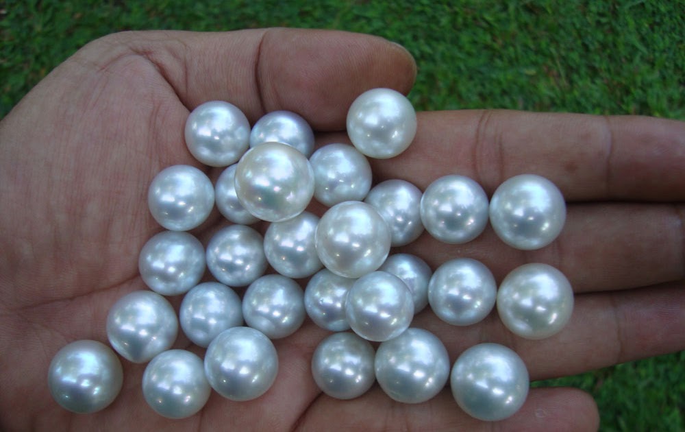 Lombok Golden South Sea Pearls Indonesia
