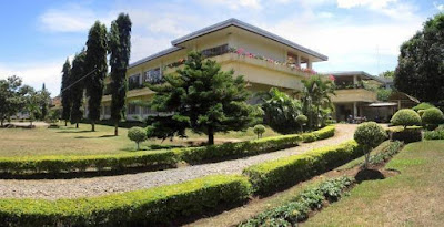 Mountain View College