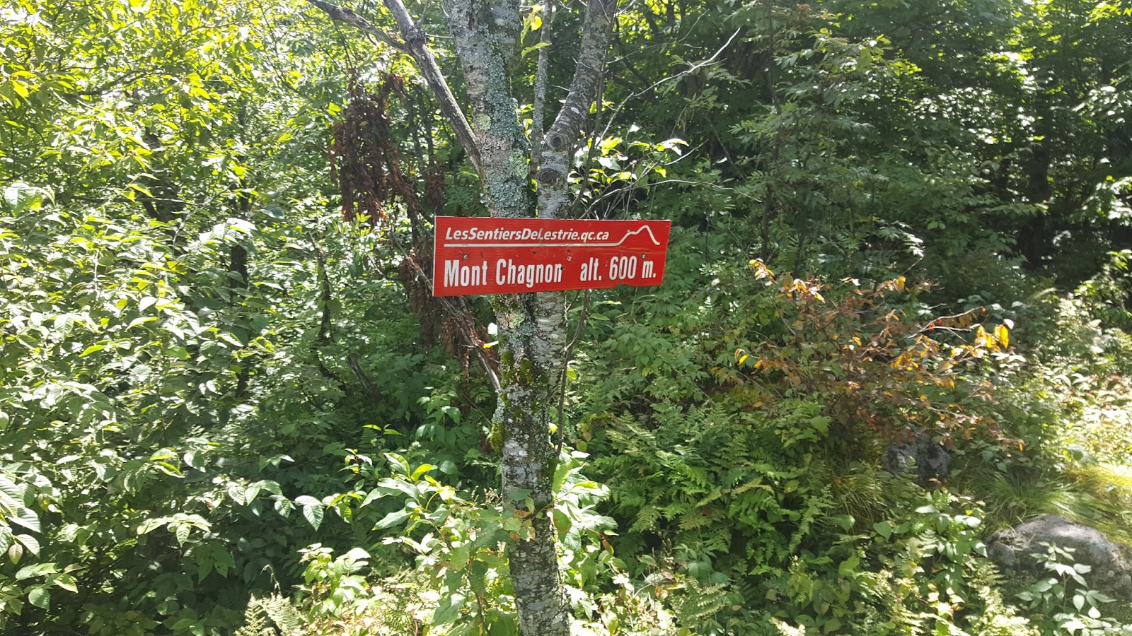 Randonnée au mont Chagnon - Dan en bottines