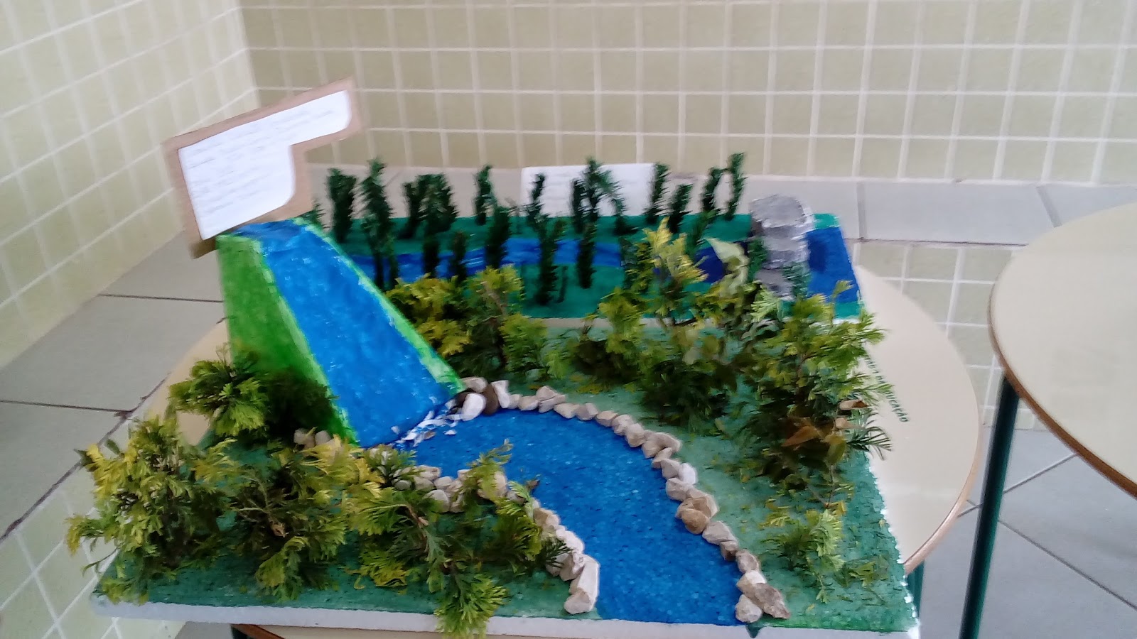 Maquete Do Bioma Mata Atlantica - BINKEDU