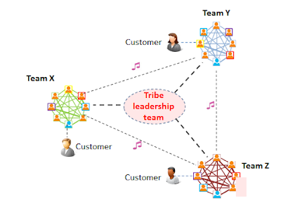 CasCas - leren en veranderen op het werk: Agile Tribe leader is een ...