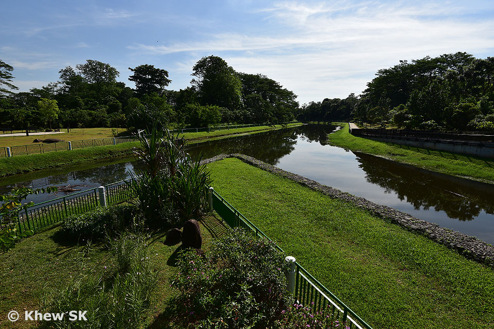 Butterflies of Singapore: Butterfly Photography at Our Local Parks ...
