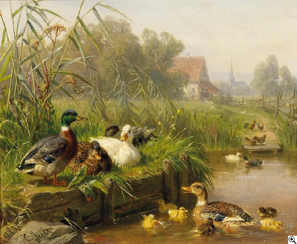Viático de Vagamundo: Ducks by Carl Jutz the elder
