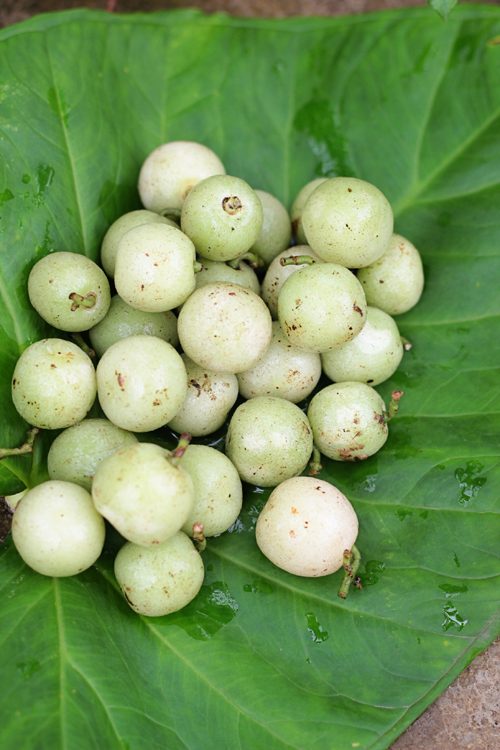 [Indian Recipes] Exotic Berries Curry Fruit - All Asian Recipes For You