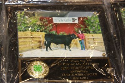 Predator Friendly Ranching : 4H Market steer project is... done.