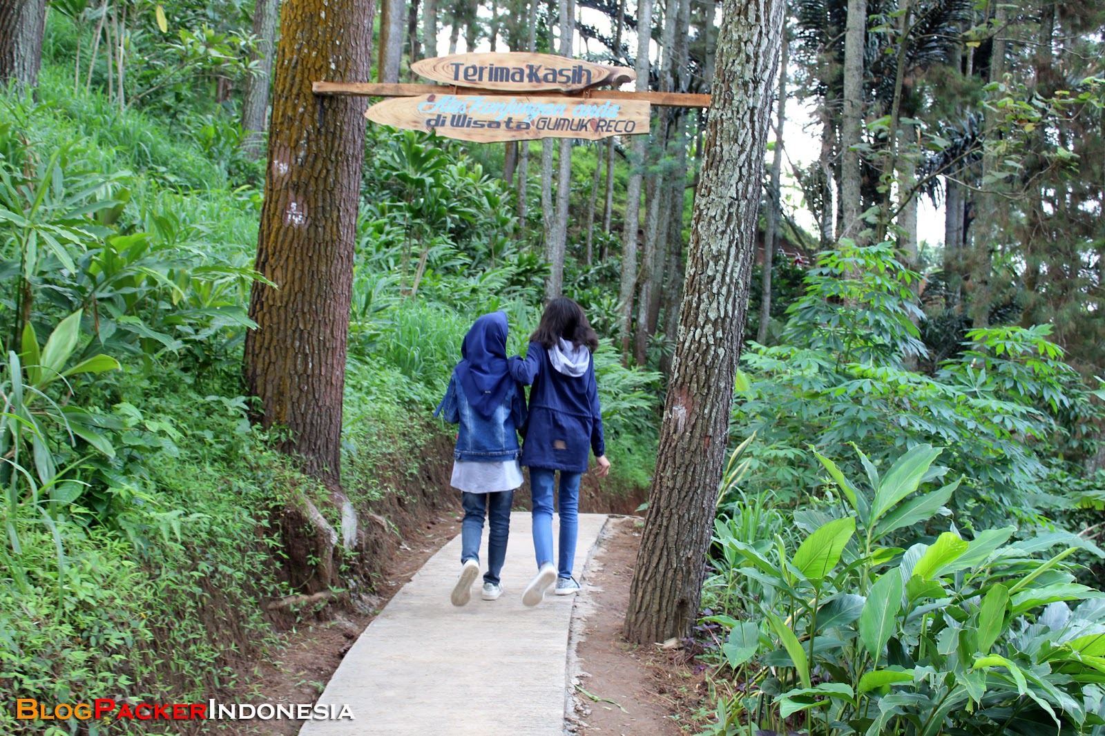 Menikmati Pesona Cemoro Sewu dan Gumuk Reco Sepakung - BlogPacker Indonesia