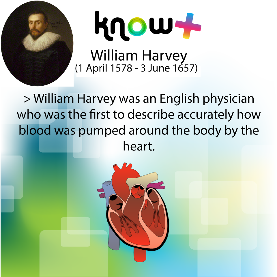 William Harvey | Know Plus