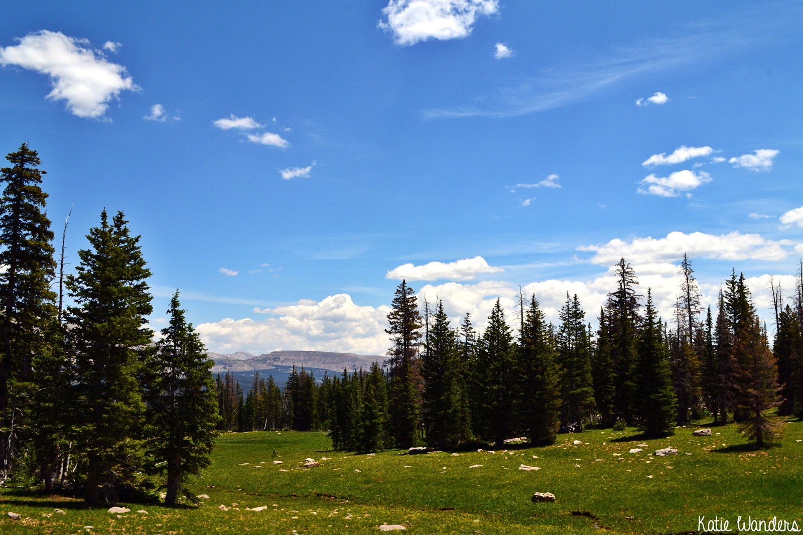 Katie Wanders : High Uintas Wilderness, Utah