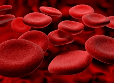 Por dentro do Mundo das Células: Globulos Vermelhos