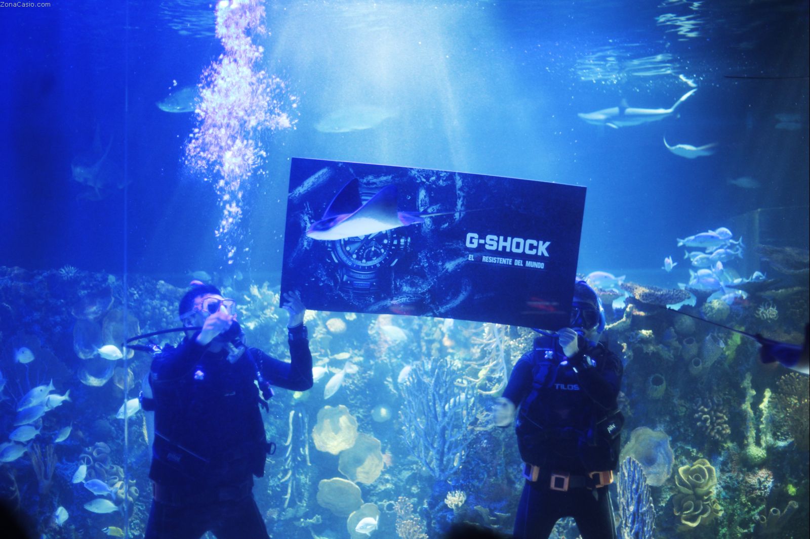 Zona Casio Radio: G-Shock presenta por todo lo alto el nuevo Quad ...