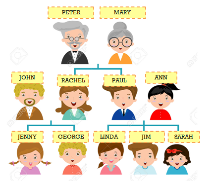 Practise English: FAMILY TREE - Vocabulary activity