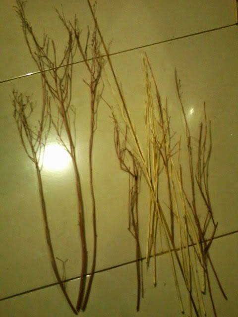 Pondok Dahar Lauk Jogja: Cara & Tips Merangkai Bambu Ulir atau Ranting ...