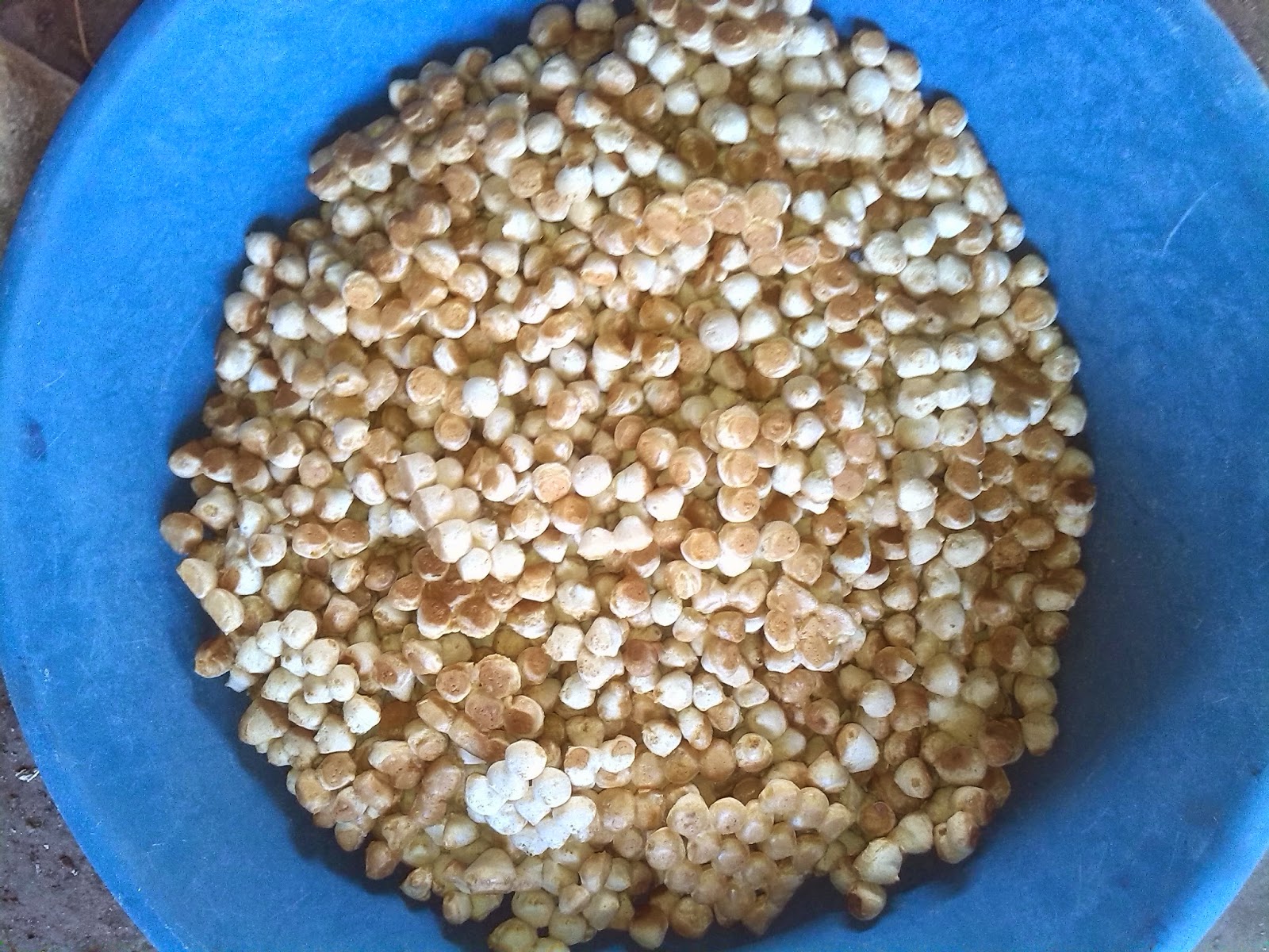 DIABOLINES TIPICOS DE BETULIA