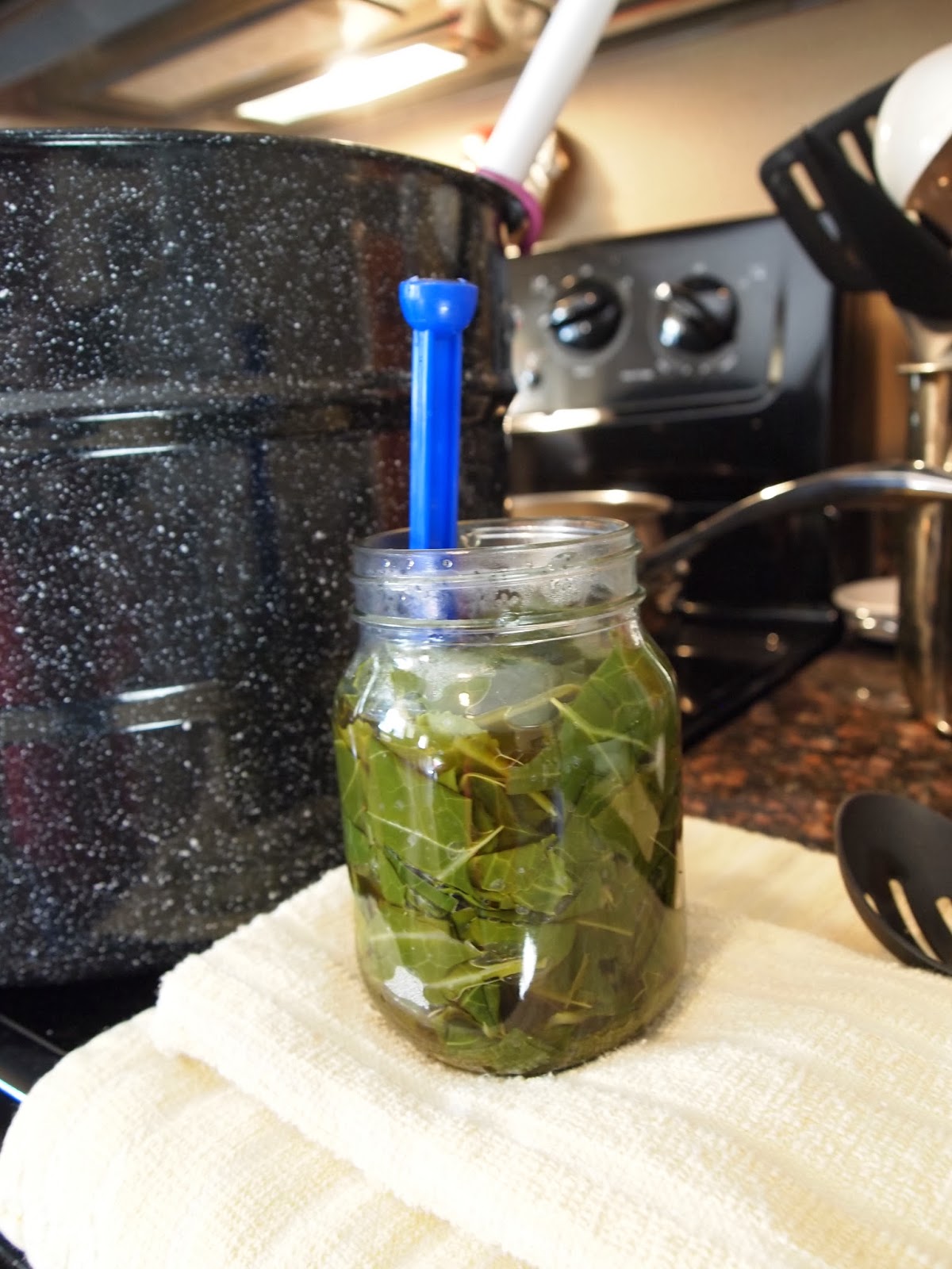 I Am Within: Canning Collard Greens and Blackeye Peas