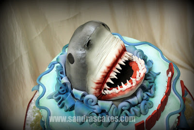 JAWS THEMED BIRTHDAY CAKE