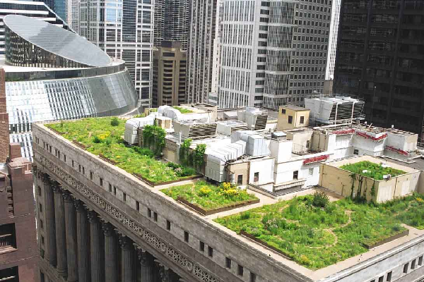 Benefits of Green Roofs | thegreenmarketoracle