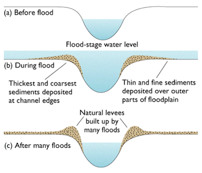 Geography of Rivers: Floodplains and Levees