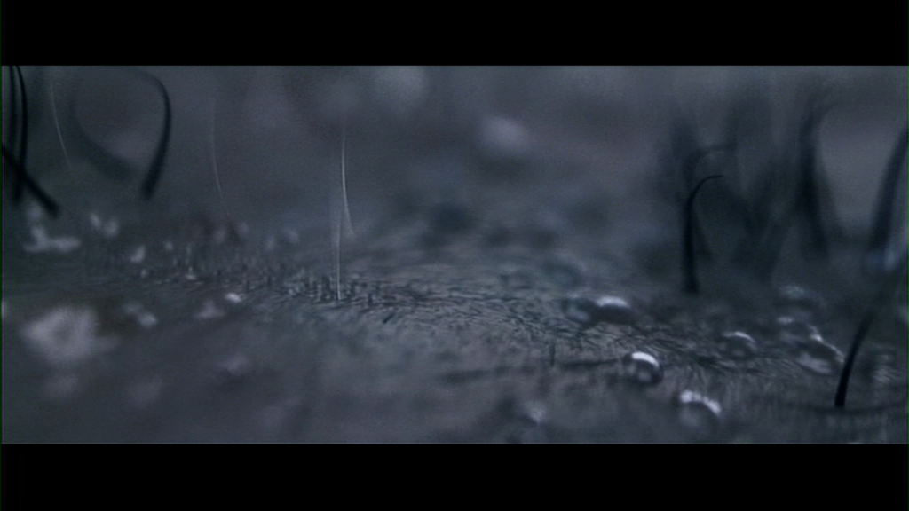 A Level Media Studies: Research: Fight Club opening