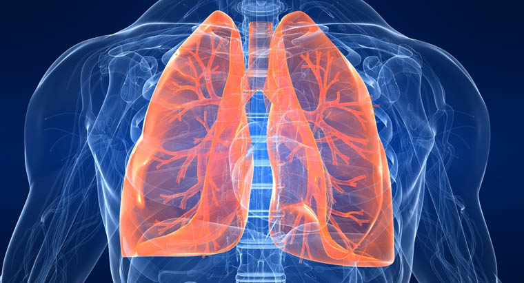 NECESIDAD DE OXIGENACIÓN