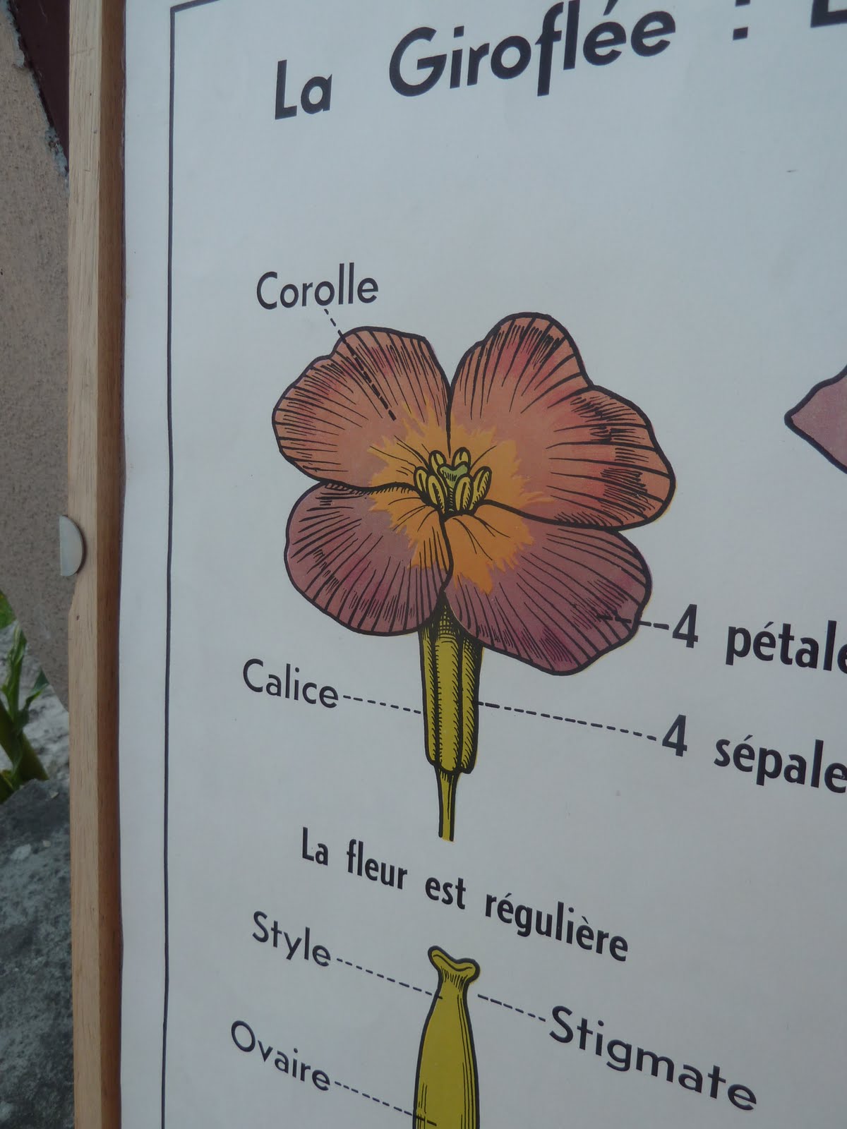 Ecole FMR 1000 Affiches scolaires: Mdi anncienne affiche scolaire les ...