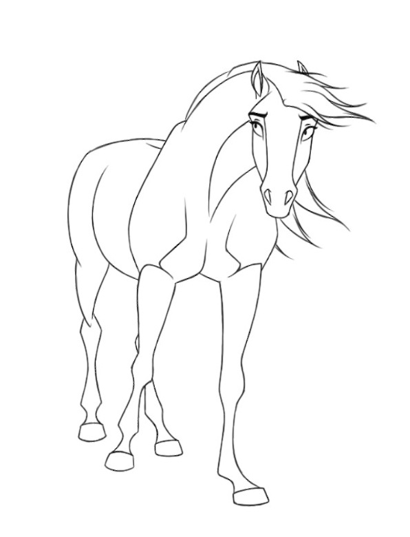 Stallion Line Art