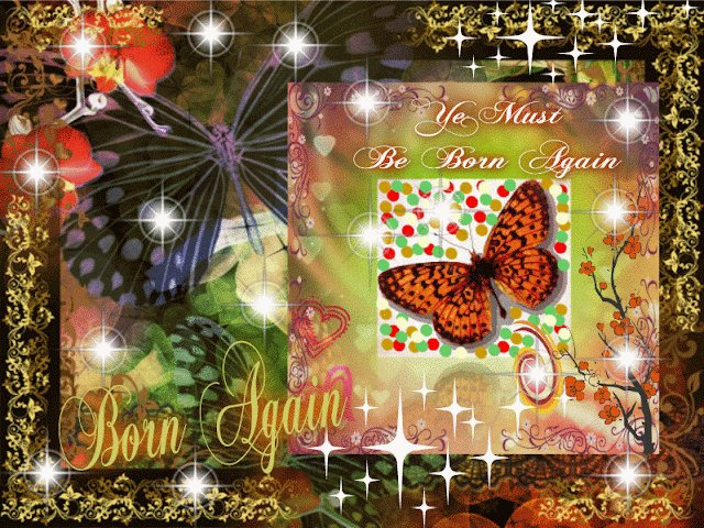 Born Again Signs / Glitter Too