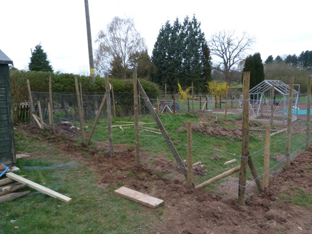 An English Homestead: A Rather Large Chicken Run