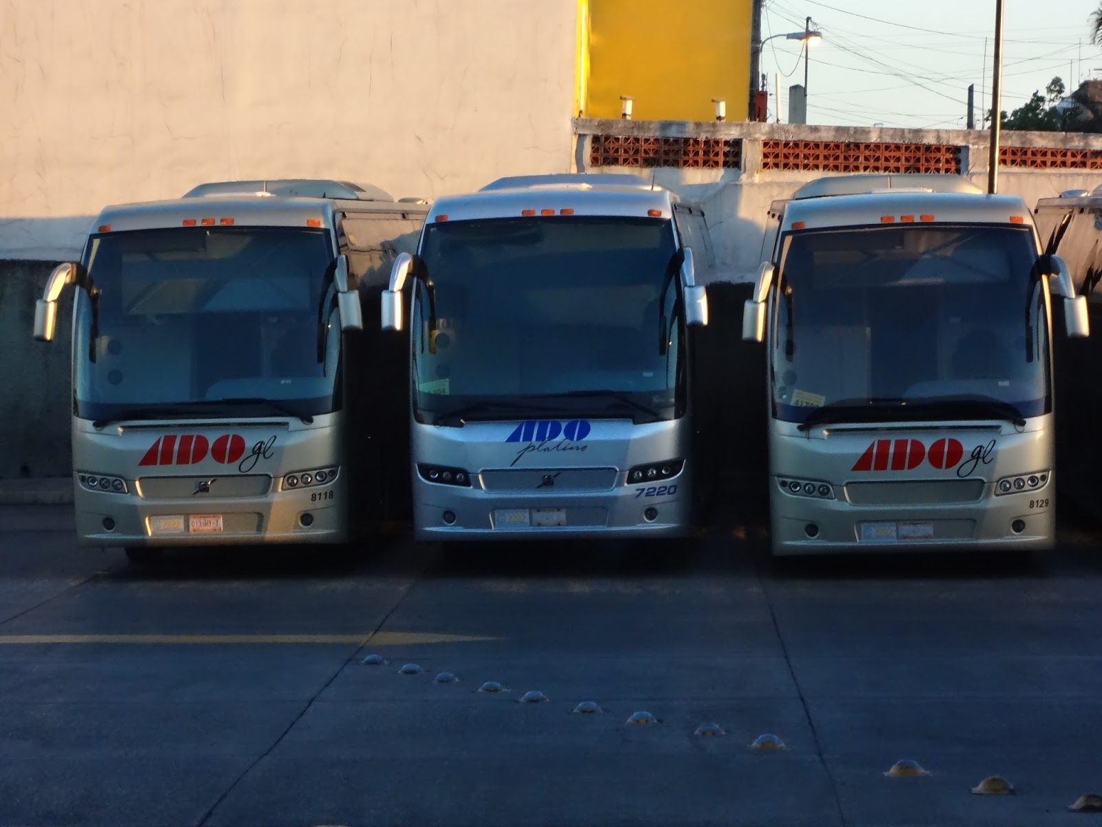 ADO GL, ADO Platino, ADO GL