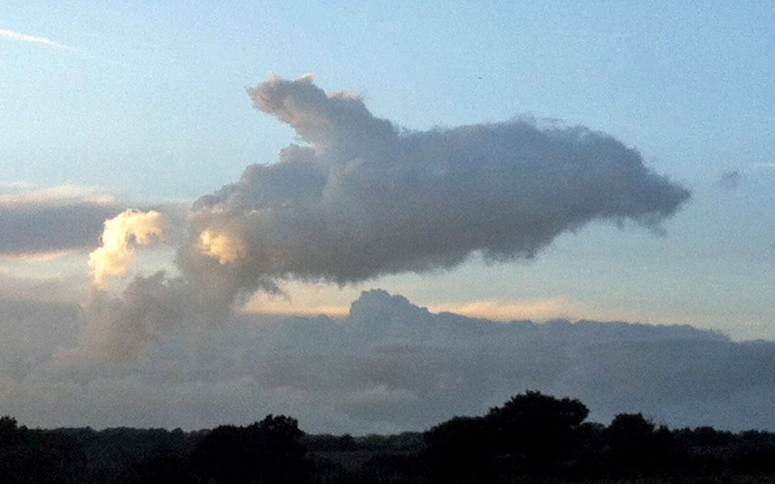 Refreshing News: Clouds that look like things (12pics)