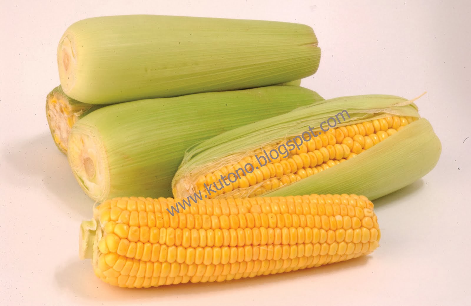Kandungan Gizi Jagung Manis - Perumperindo.co.id