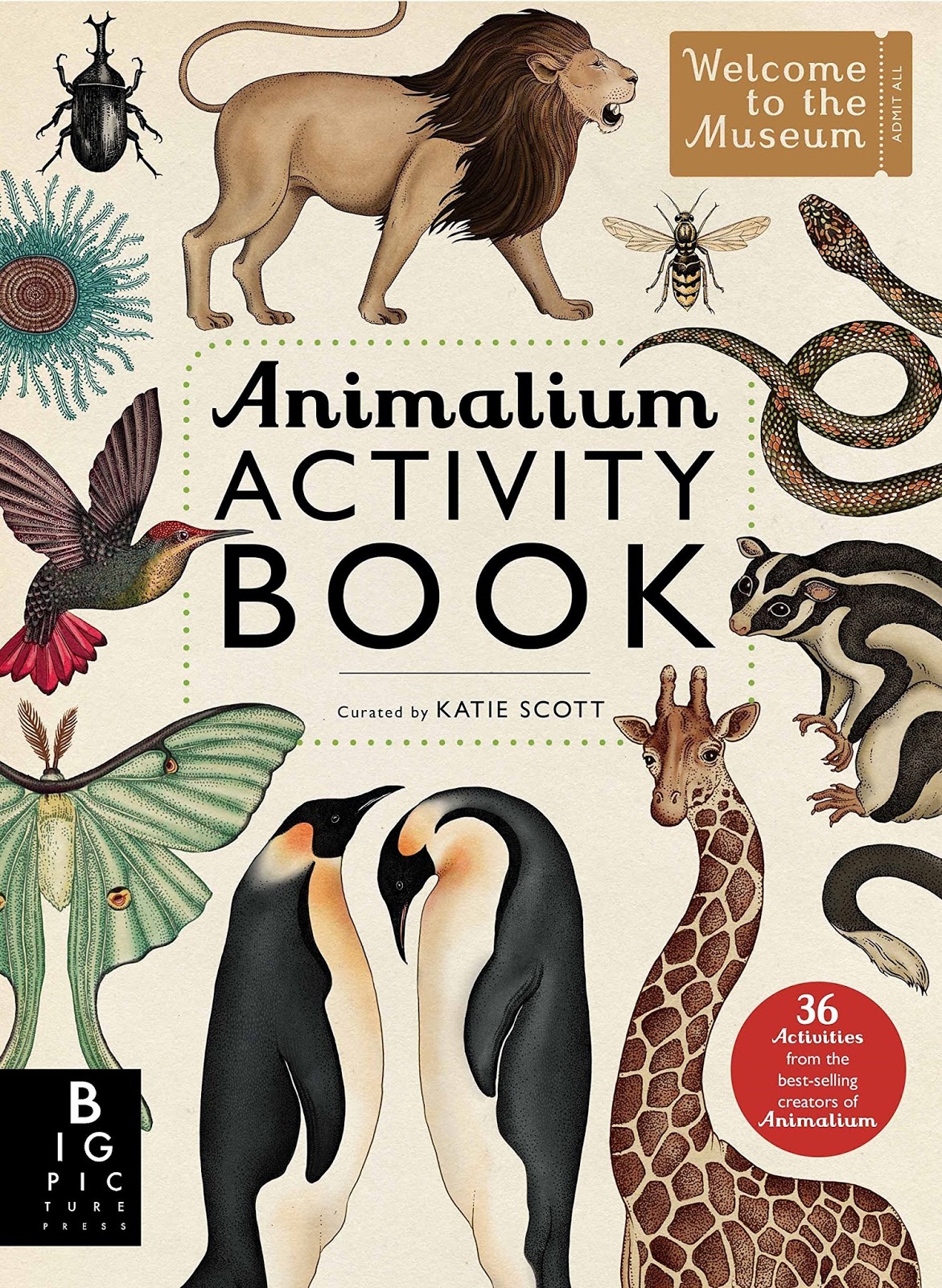 The Bookworm Baby: Animalium Activity Book