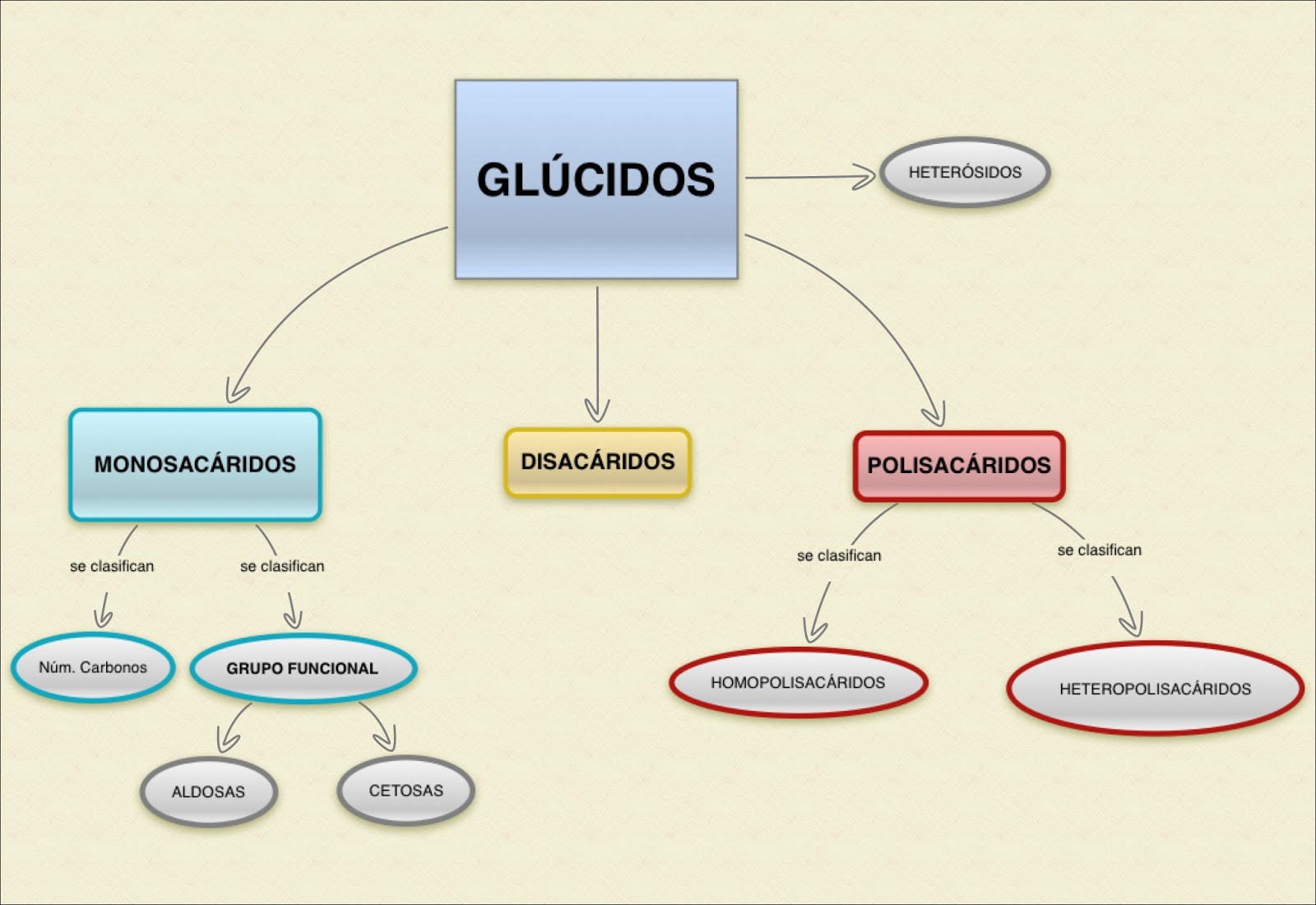 AMIGOS PARA SIEMPRE: BIOLOGÍA EN 2º DE BACHILLERATO