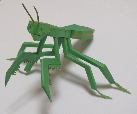 Mantis Papercraft | Paperized Crafts