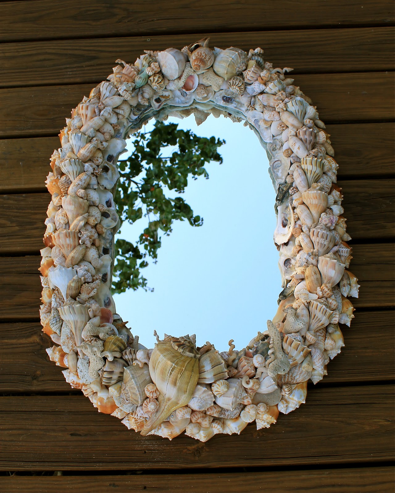 Connecting Pieces: Oval Shell Mirror