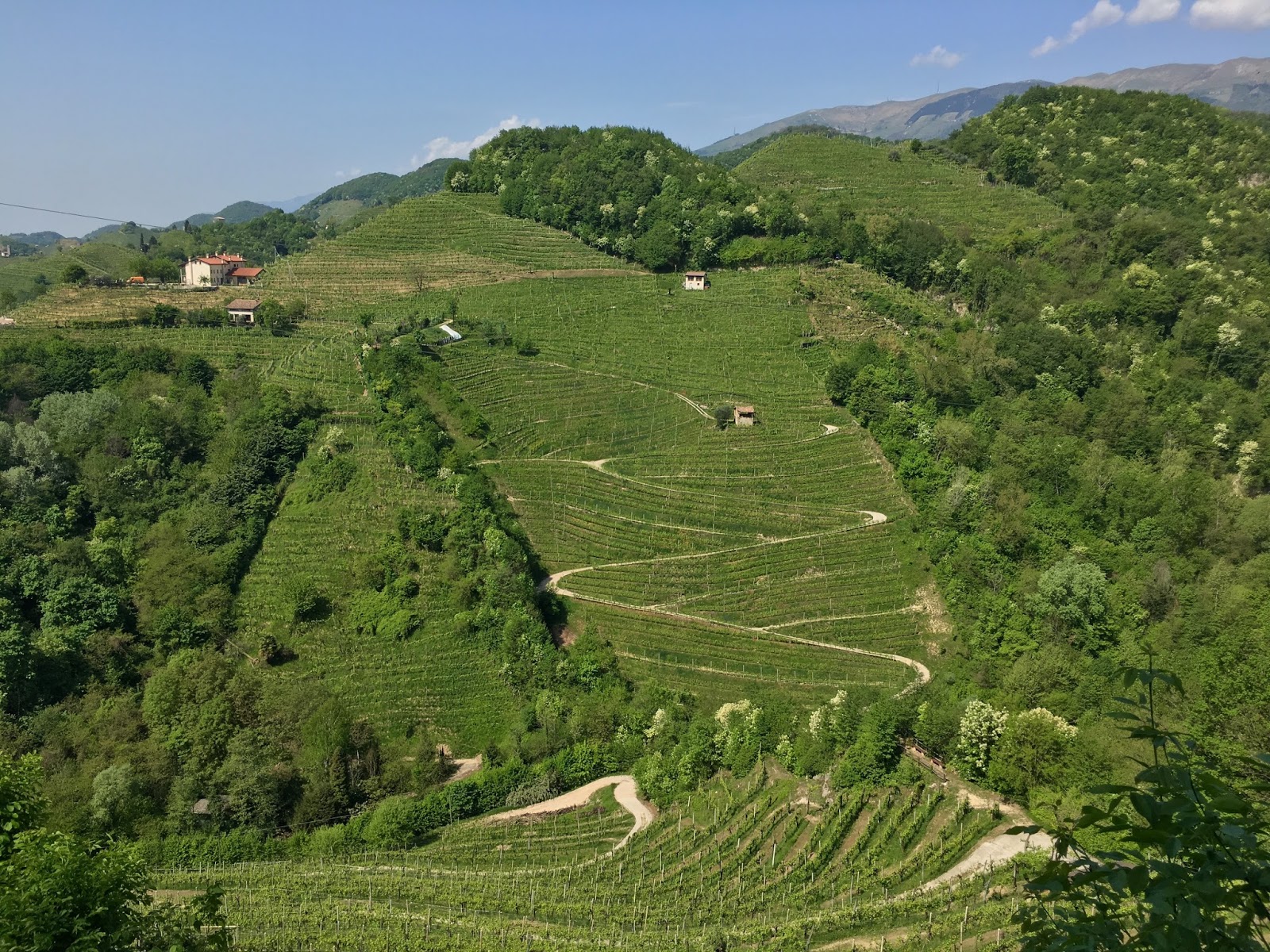 Cycling Dolomiti Friulane: Farra di Soligo