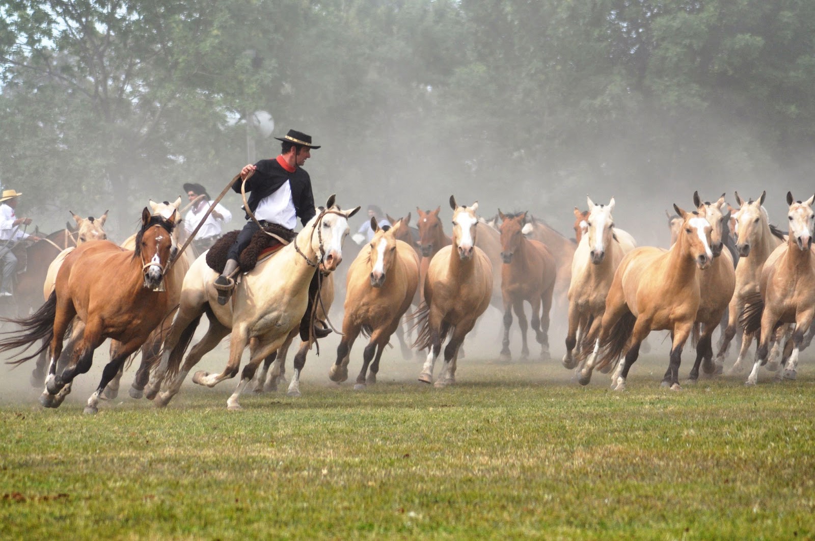 El GAUCHOGUACHO: El gaucho en el Vaticano
