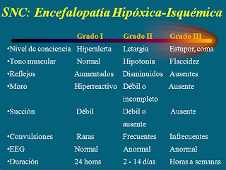 Primeros auxilios: Asfixia Perinatal