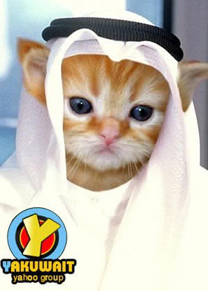 Assalamu'alaikum: Kucing Arab