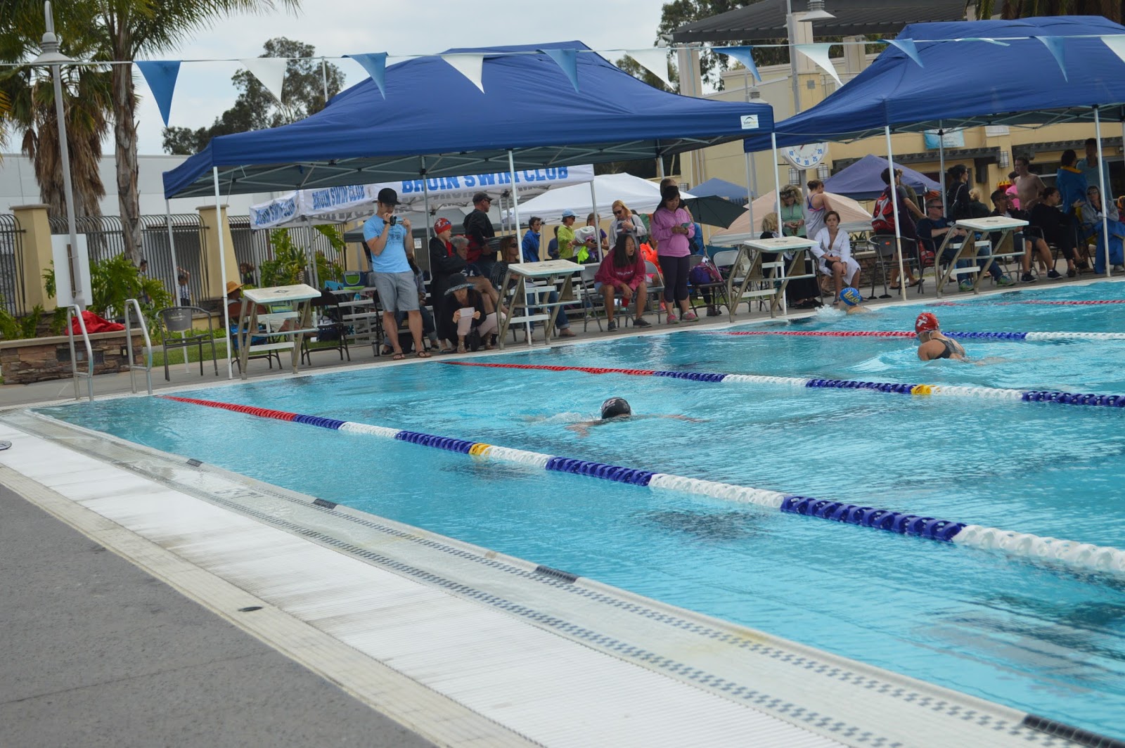 Miyu's Life: Swim Meet #6 San Fernando Regional Pool! サンファーナンドプール大会★