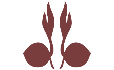 Logo Pramuka Tunas Kelapa ~ logocorel.com : Free Vector Logos & Design