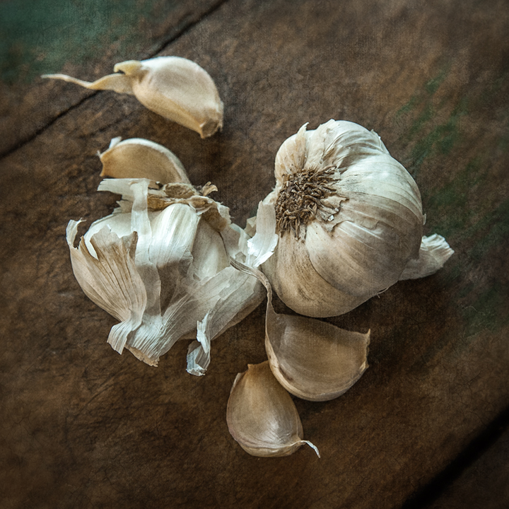Dan Routh Photography: Garlic on the Table