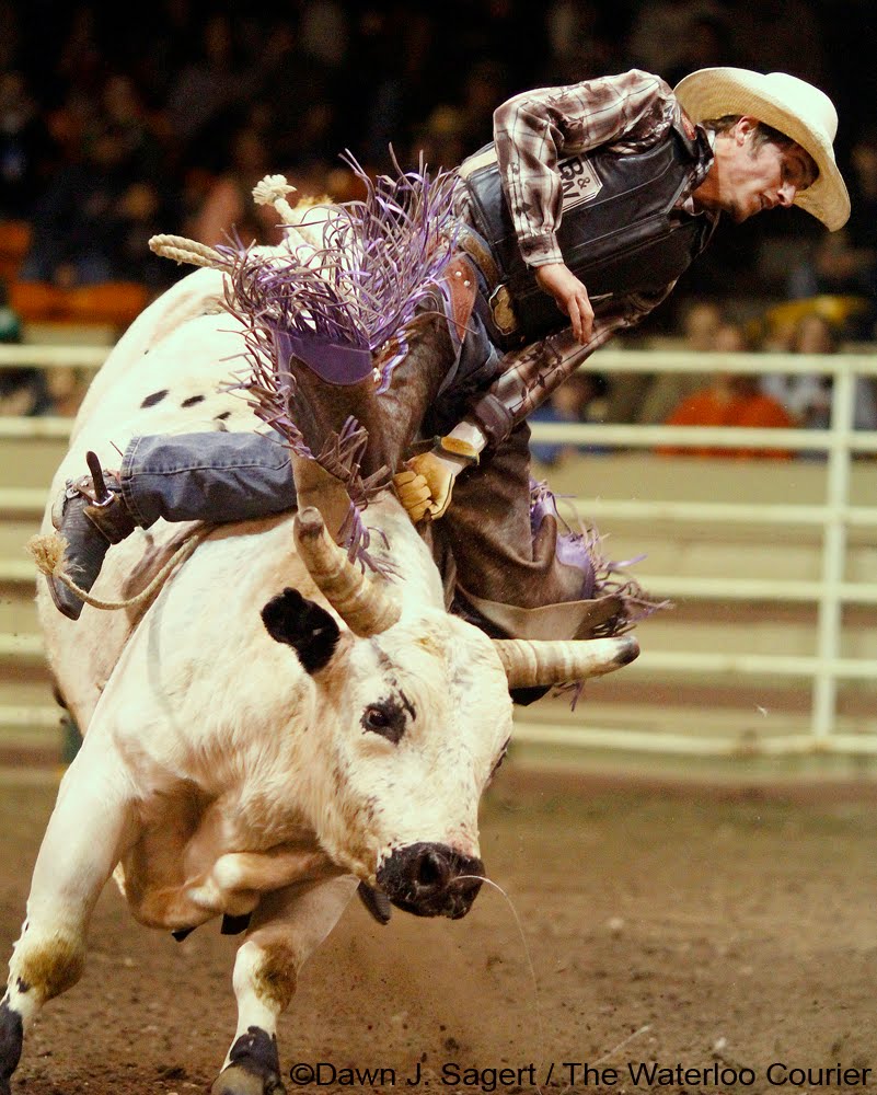 Dawn J. Sagert: Rodeo Time