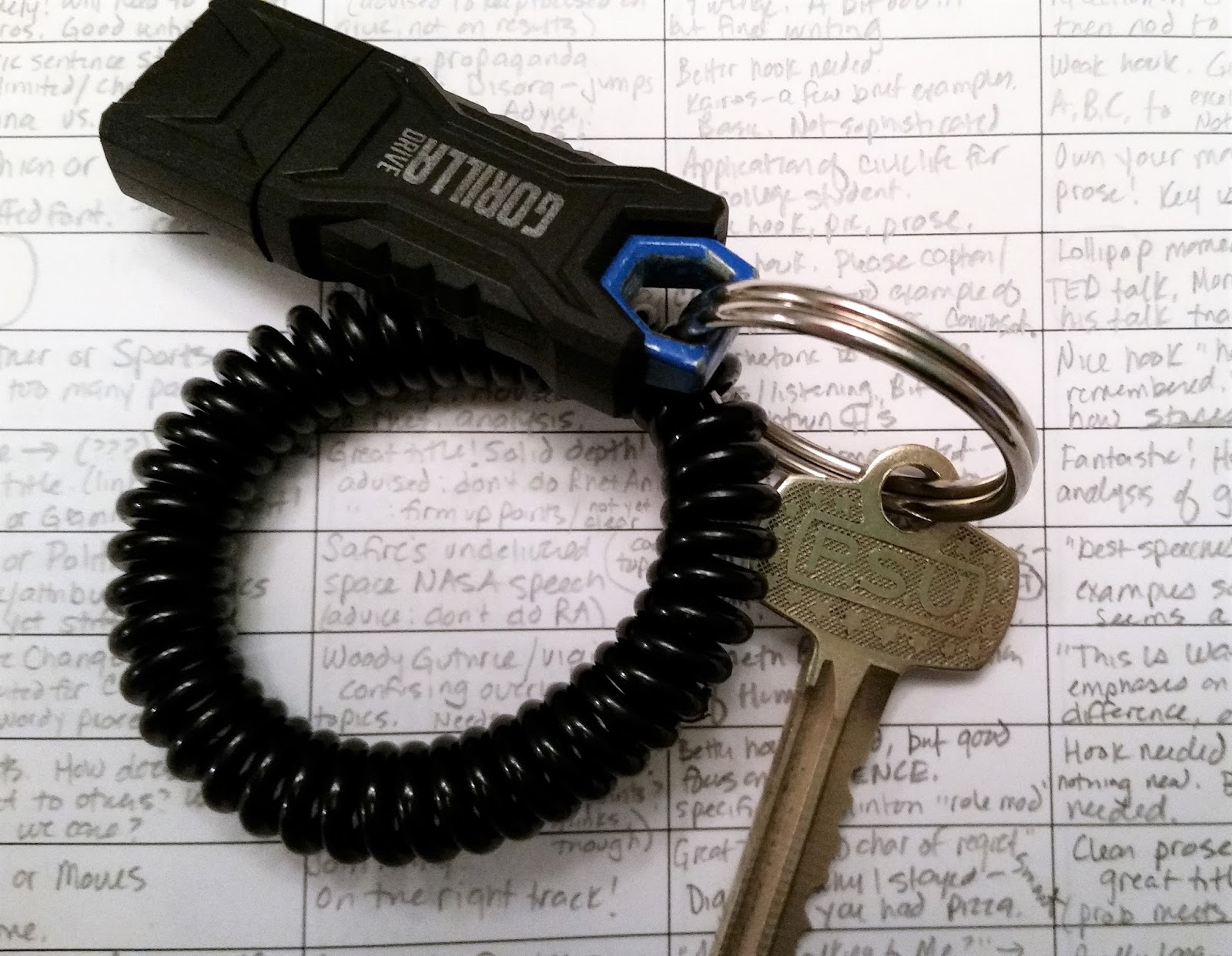 The Saga of the Lost Key Chain - Robin Kramer Writes