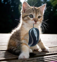 The Patent Legacy of the Computer Mouse - The IPKat