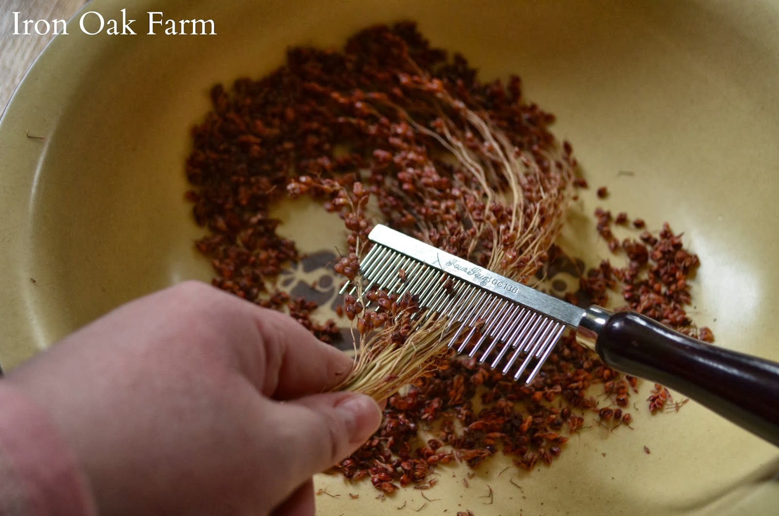 Iron Oak Farm: Removing the Seeds From Broom Corn