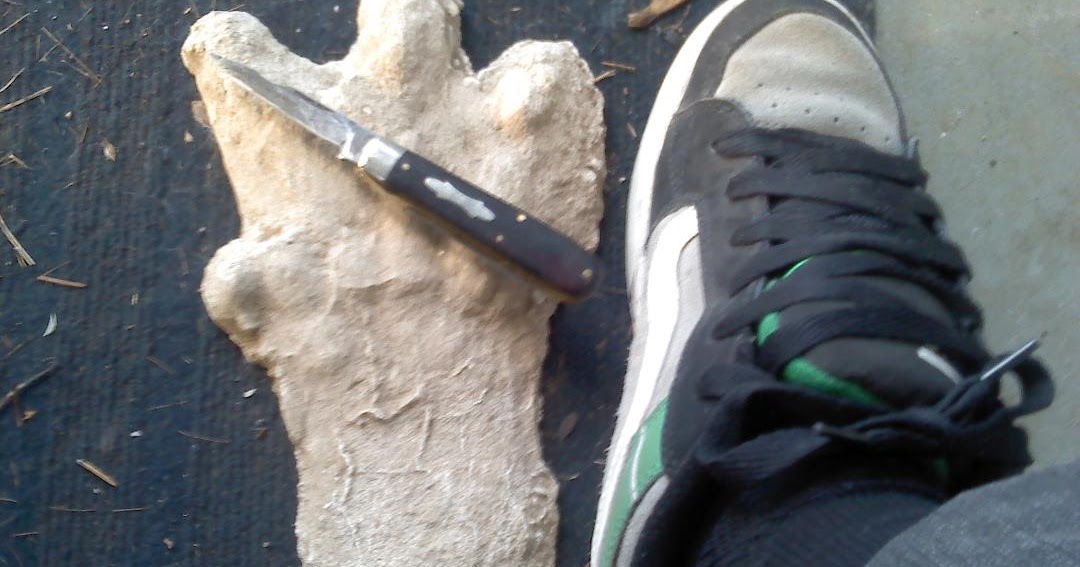 Evidence of Reptilian Humanoids?