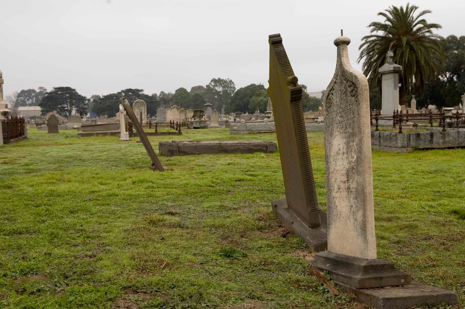 Know Their Stories: The Colemans & Dwyers: The Death of Mary Dwyer Coleman